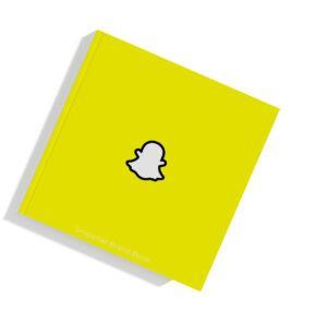 Snapchat Brand Book - Gingersauce