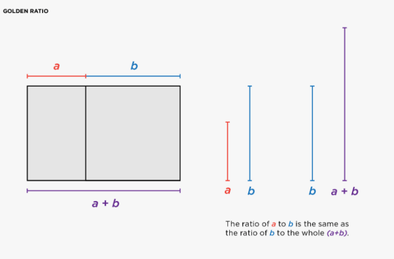 Logo Proportions in Gingersauce: How to Choose and Why to Use - Gingersauce